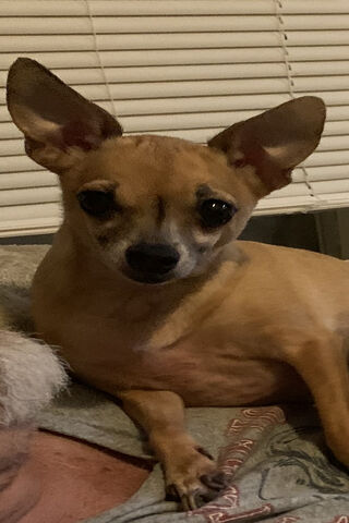 Mighty Might Wallpaper - Download to your mobile from PHONEKY