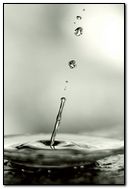 Water Drop Wallpaper - Download to your mobile from PHONEKY
