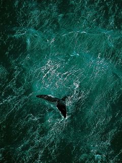 Fgdfg الخلفية - تحميل إلى هاتفك النقال من PHONEKY