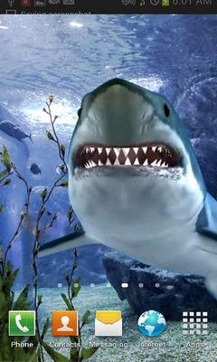 Touch The Shark Live Wallpaper Wallpaper - Download to your mobile from ...