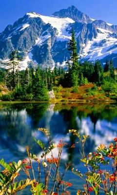 Spring Wallpaper - Download to your mobile from PHONEKY