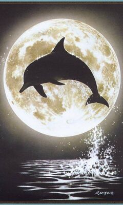 Dolphin Glow Wallpaper - Download to your mobile from PHONEKY