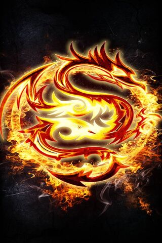 Cool Fire Dragon Wallpapers