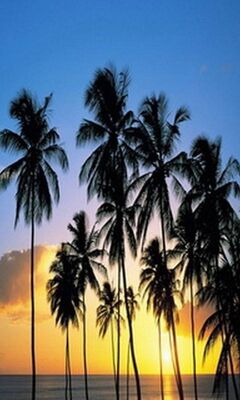 Nature10 Wallpaper - Download to your mobile from PHONEKY