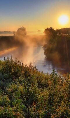 Nature Wallpaper - Download to your mobile from PHONEKY