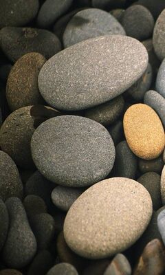 Hd View Wallpaper - Download to your mobile from PHONEKY