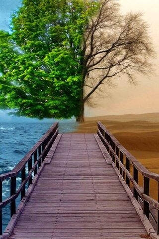Two Sides Wallpaper - Download to your mobile from PHONEKY