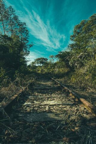 Nature Way Wallpaper - Download to your mobile from PHONEKY