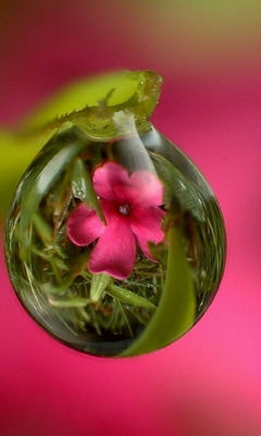 Beauty Of Nature 11 Wallpaper - Download to your mobile from PHONEKY