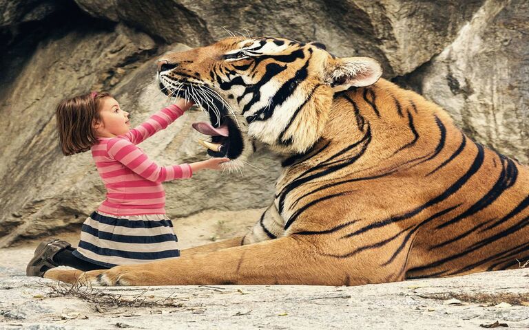 Tiger and Girl Wallpaper - Download to your mobile from PHONEKY