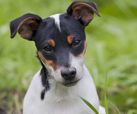 Blotch Wallpaper - Download to your mobile from PHONEKY