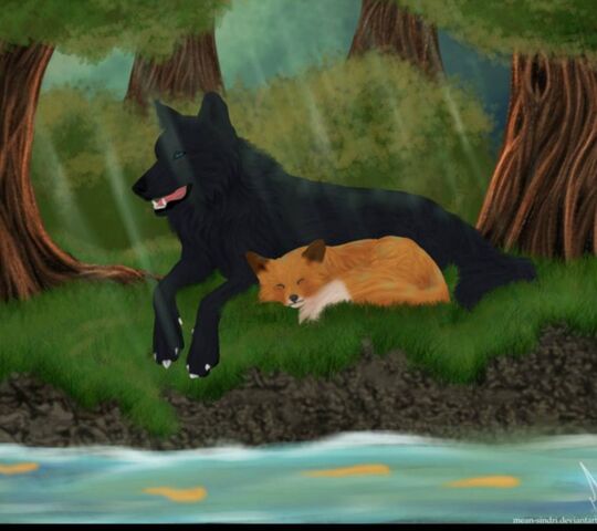 Fox And Wolf Love