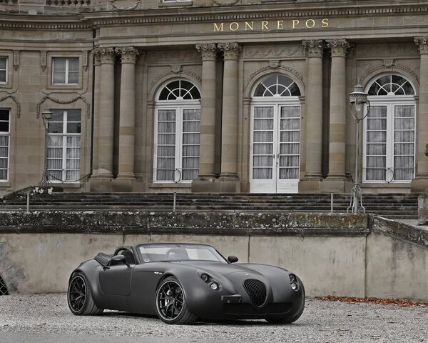 Weismann Wallpaper - Download to your mobile from PHONEKY