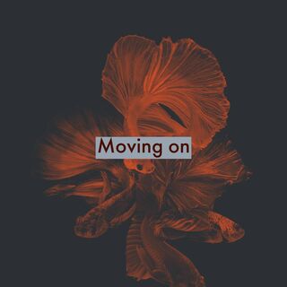 Moving On Wallpaper - Download to your mobile from PHONEKY