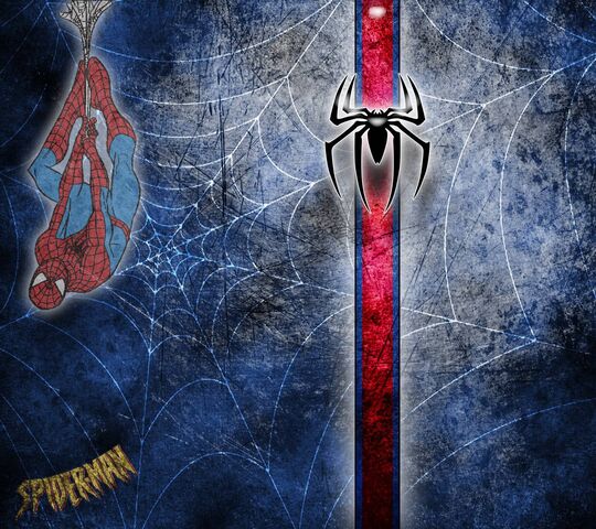 Spider Wallpaper - Download to your mobile from PHONEKY