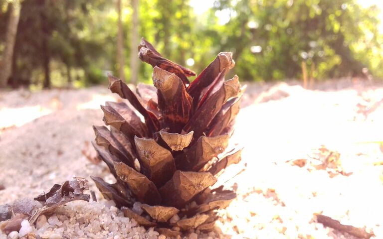 Sand Wallpaper - Download to your mobile from PHONEKY