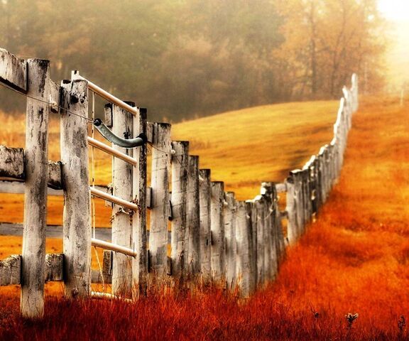 Hd de vue de champ Fond d'écran - Télécharger sur votre mobile depuis ...