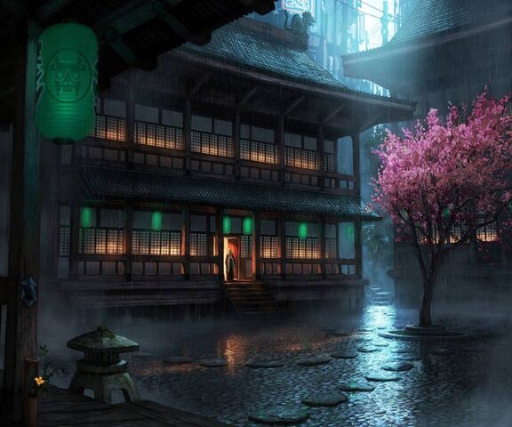 Sakura Wallpaper - Download to your mobile from PHONEKY