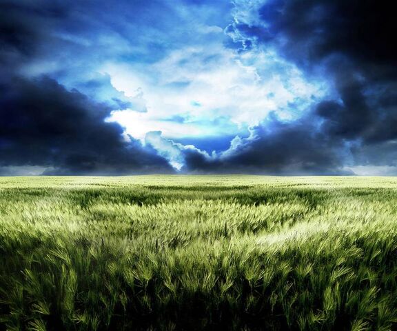 Field Wallpaper - Download to your mobile from PHONEKY