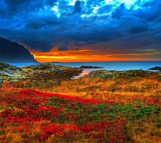 Colorful View Hd Wallpaper - Download to your mobile from PHONEKY