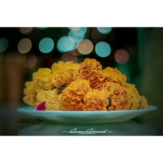 Flowers Wallpaper - Download to your mobile from PHONEKY