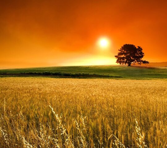 Scenery Wallpaper - Download to your mobile from PHONEKY