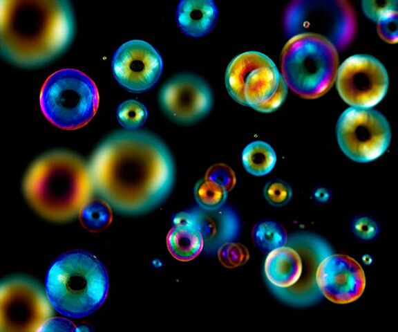 Bubbles of Color: A Dance in the Dark 🌈 Wallpaper - Download to your ...