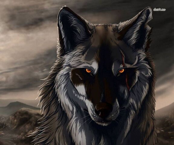 Wolf Wallpaper - Download to your mobile from PHONEKY