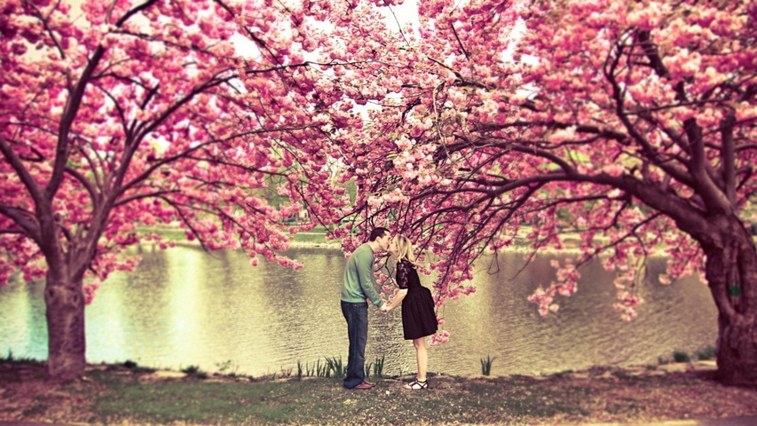 Spring Love Has Come Wallpaper - Download to your mobile from PHONEKY