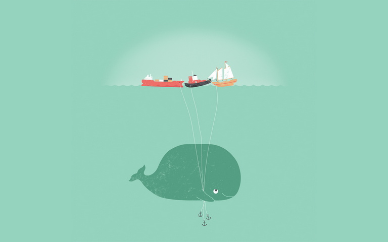 Whale Wallpaper - Download to your mobile from PHONEKY