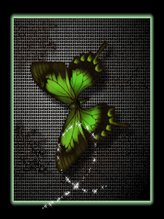 Butterfly GIF - Download & Share on JETBITS