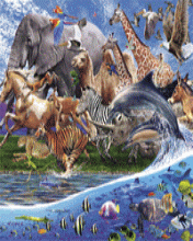 Wild Life GIF - Download & Share on JETBITS