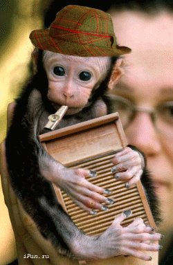 Can You Spare A Dime GIF - Download & Share on JETBITS
