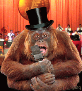Gifs Chantants