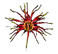 Electric GIF - Download & Share on PHONEKY